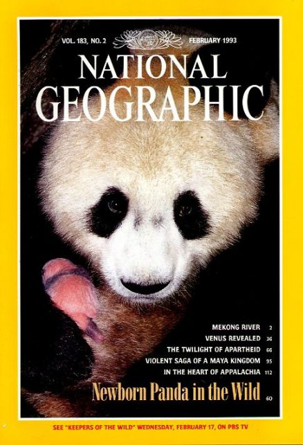 1993 January - June - National Geographic Back Issues