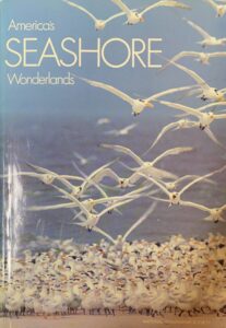 America’s Seashore Wonderlands - National Geographic Back Issues