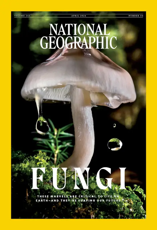 National Geographic April 2024 - National Geographic Back Issues